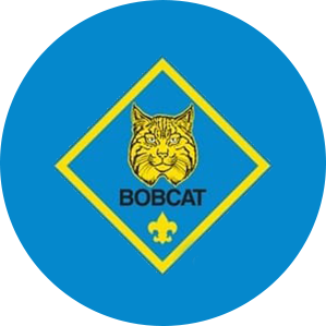 Our Dens – Cub Scouts Pack 321